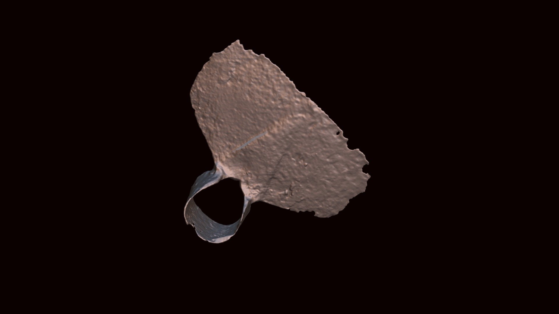 Hoe (VCU_3D_1583) - Download Free 3D model by Virtual Curation Lab ...