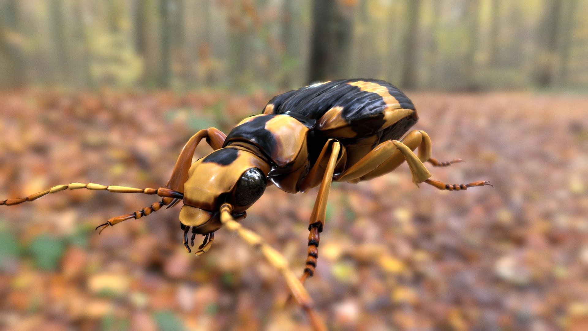 Bombardier beetle - Buy Royalty Free 3D model by Boycraft [c0c9ff7 ...