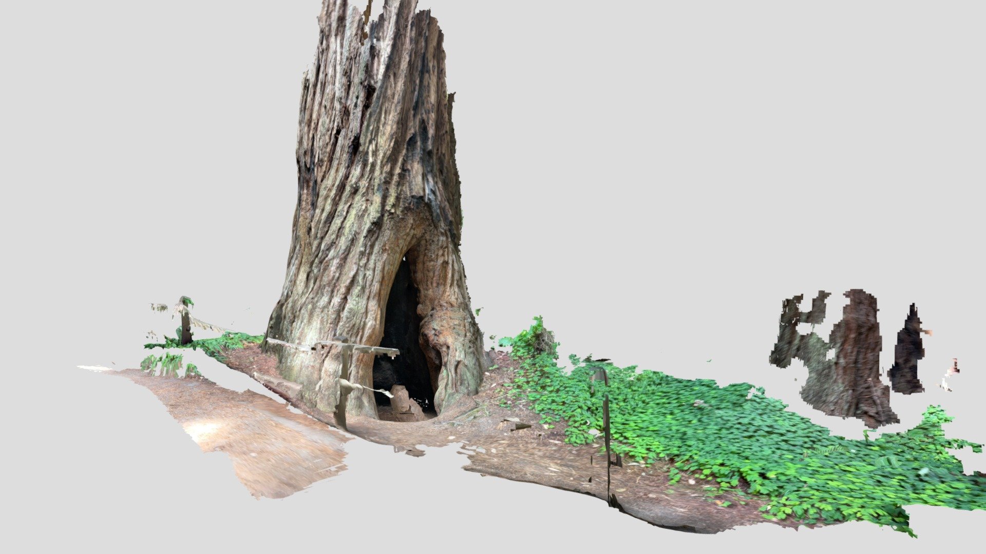 muir 08 - Download Free 3D model by pixeldog4ever [c0cd0ef] - Sketchfab