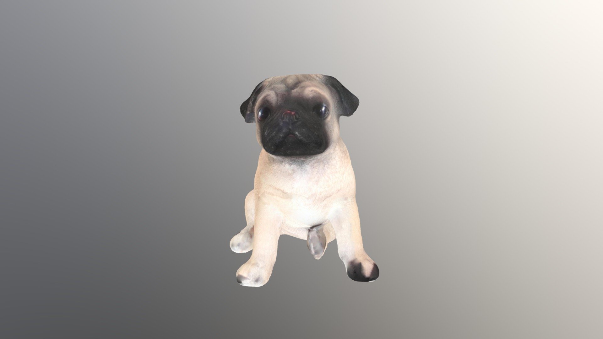 Pug - 3D model by sproutdemo [c0d93a7] - Sketchfab