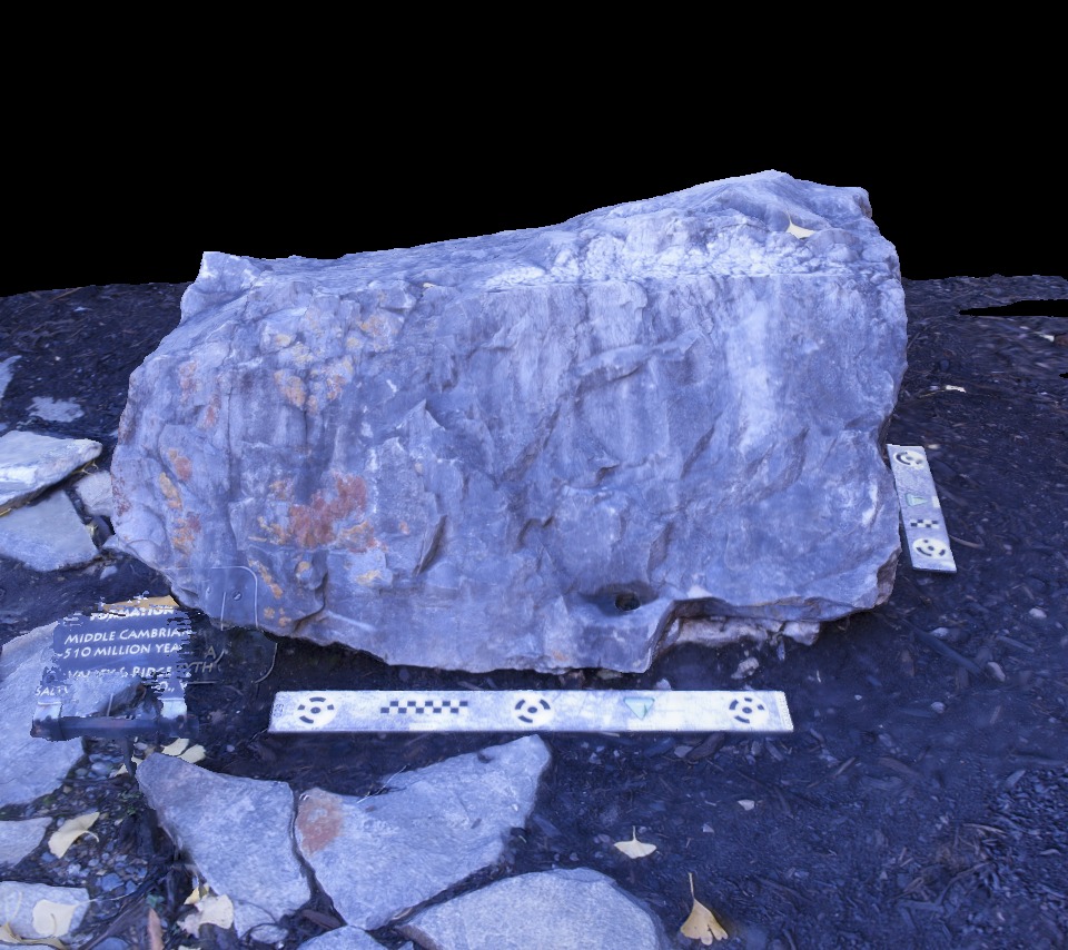 Honaker Formation - Download Free 3D model by Brian Zimmer ...