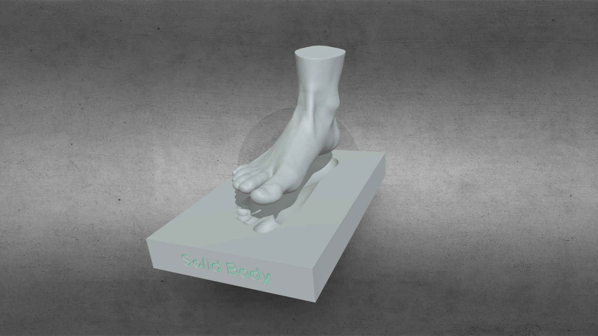 Foot - 3D model by BC-Studio [c0e5240] - Sketchfab