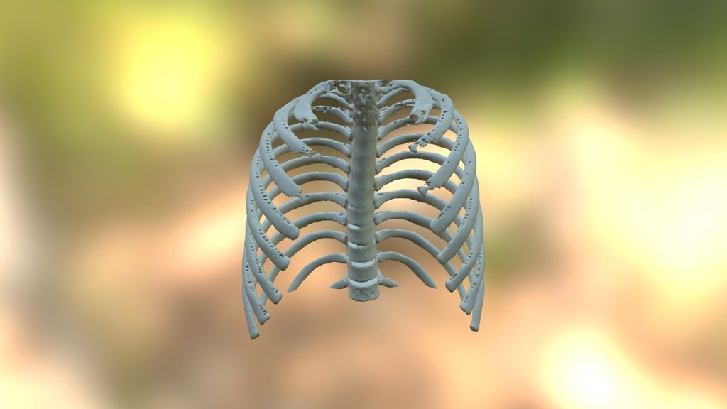 nuss 1 - 3D model by FablabNDMC [c0ec0d9] - Sketchfab