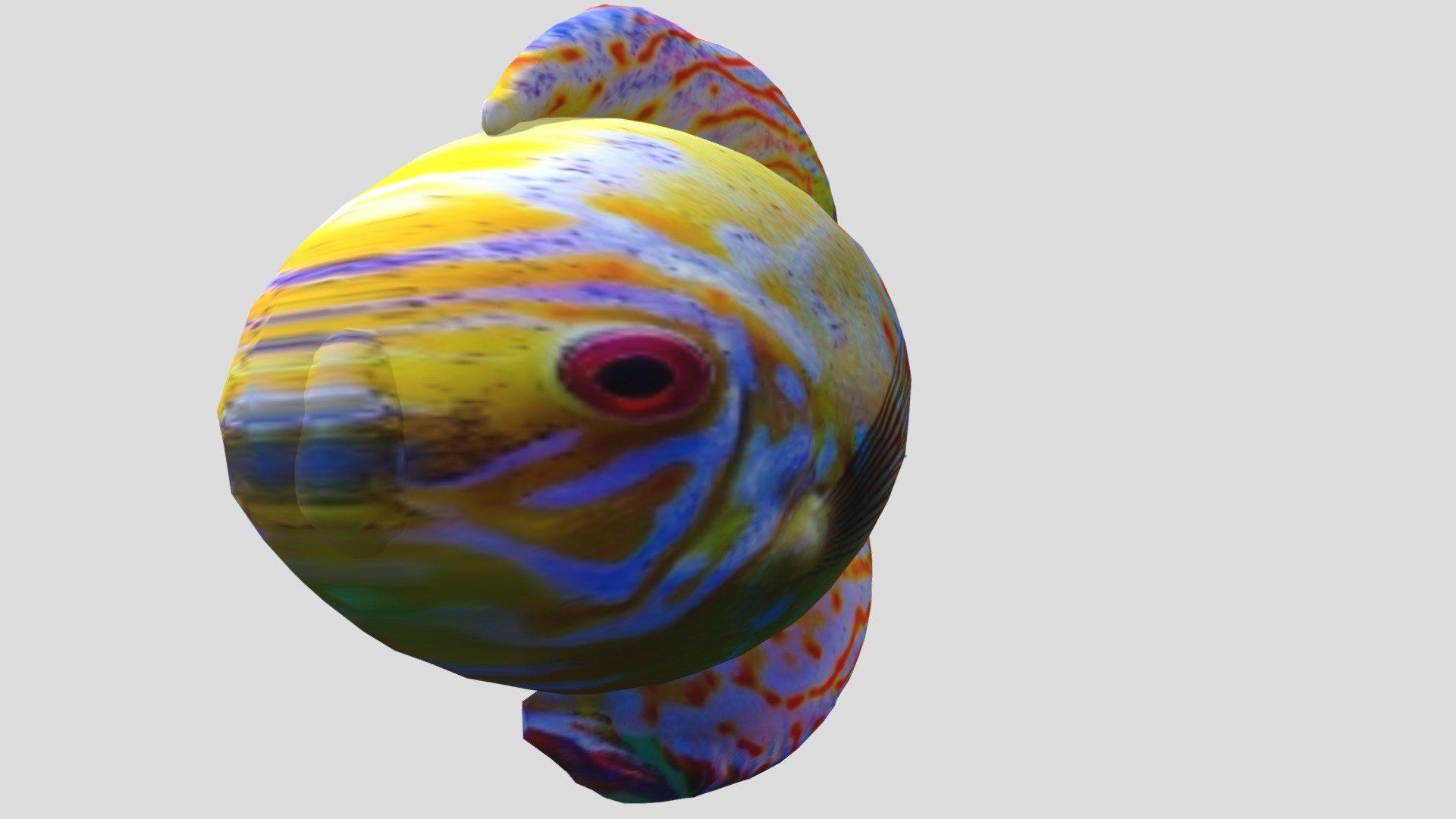 fish - Download Free 3D model by pratima [c0ecf88] - Sketchfab