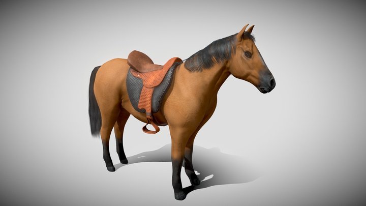 Horses 3D models - Sketchfab