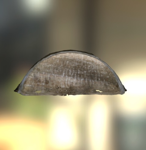 2C487_160930_1800_exc - Download Free 3D model by UTO2 (@uto161011uto2 ...