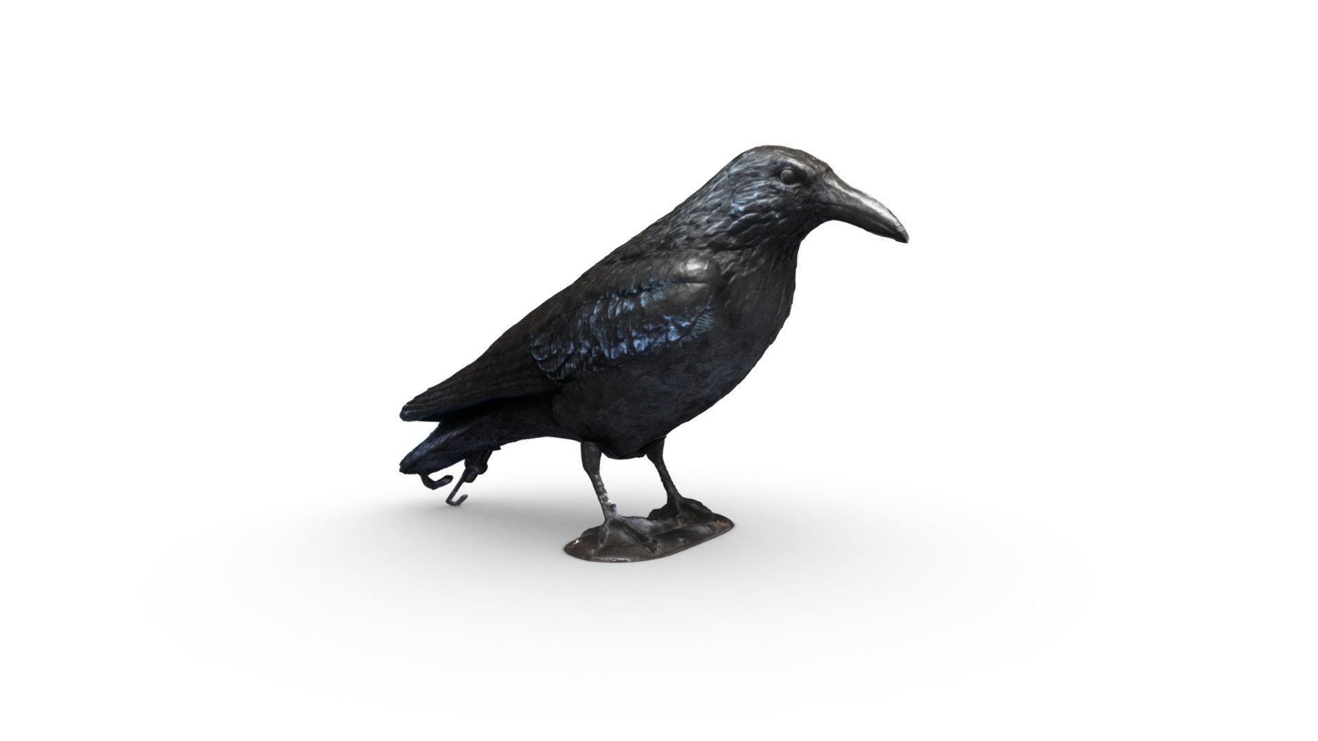 Crow - 3D model by relative.berlin [c0fcbea] - Sketchfab