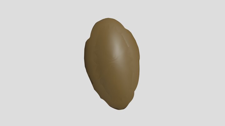 Protozoa 3D models - Sketchfab