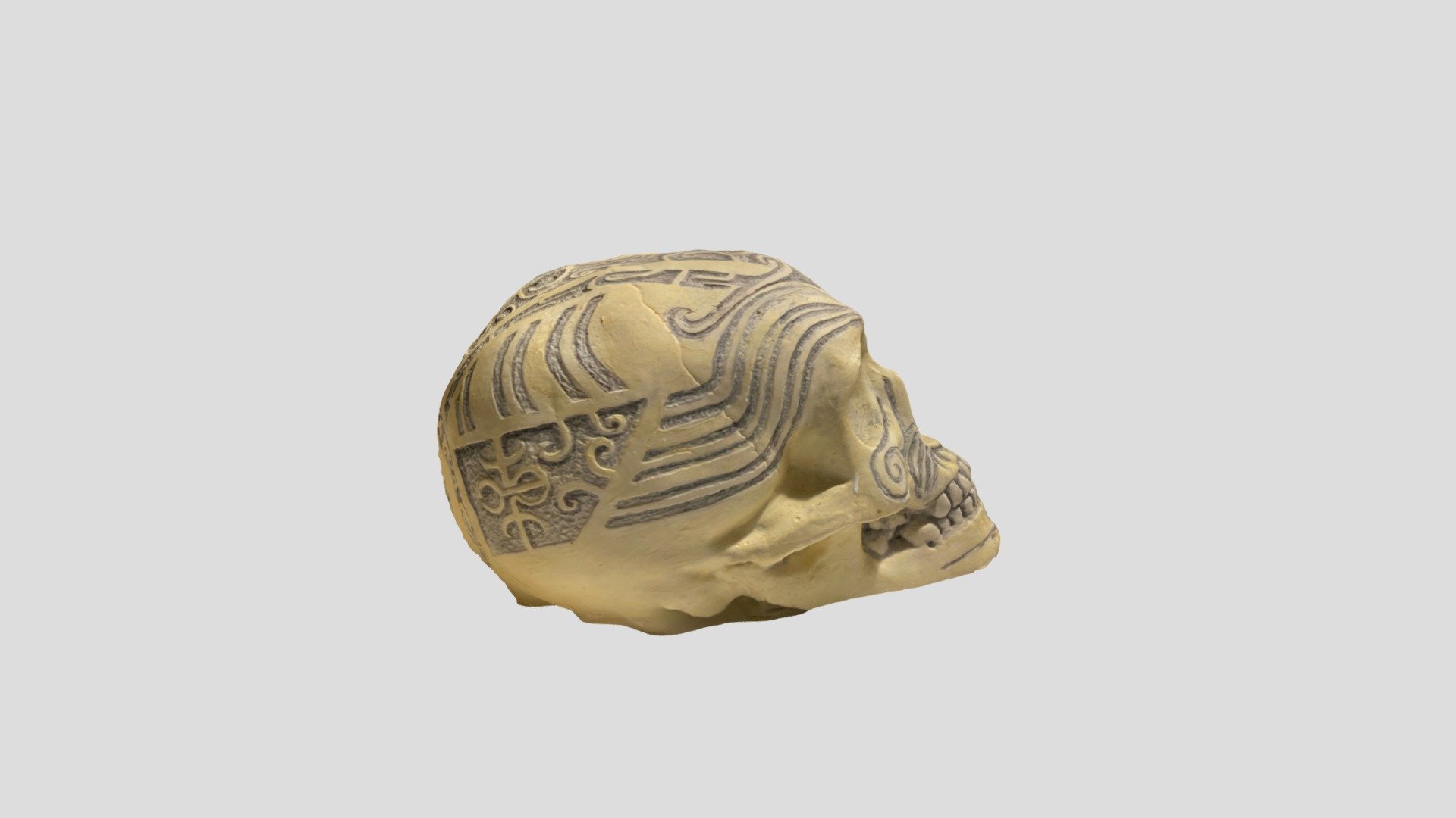 samoan skull - Download Free 3D model by xurxogb [c106d11] - Sketchfab