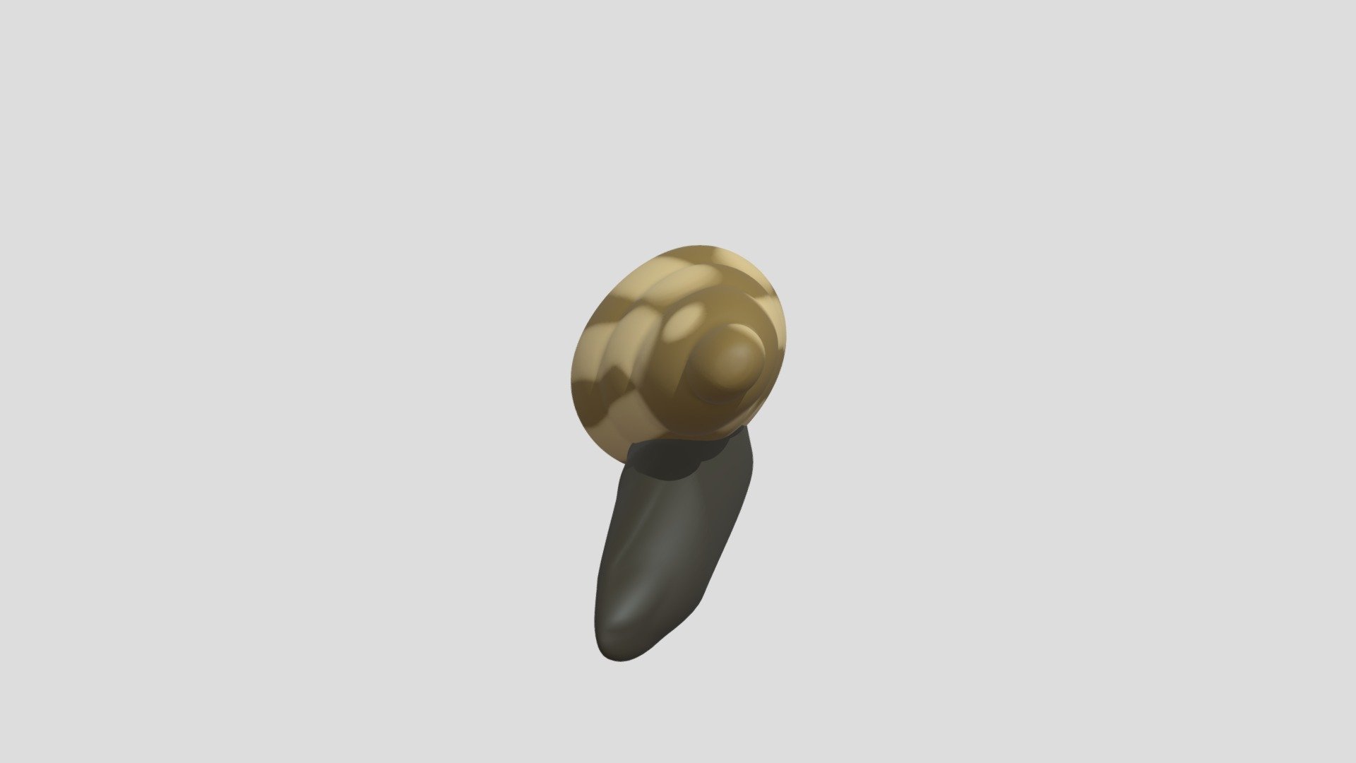 Snail 3d Model By Byanruckner [c10b85a] Sketchfab