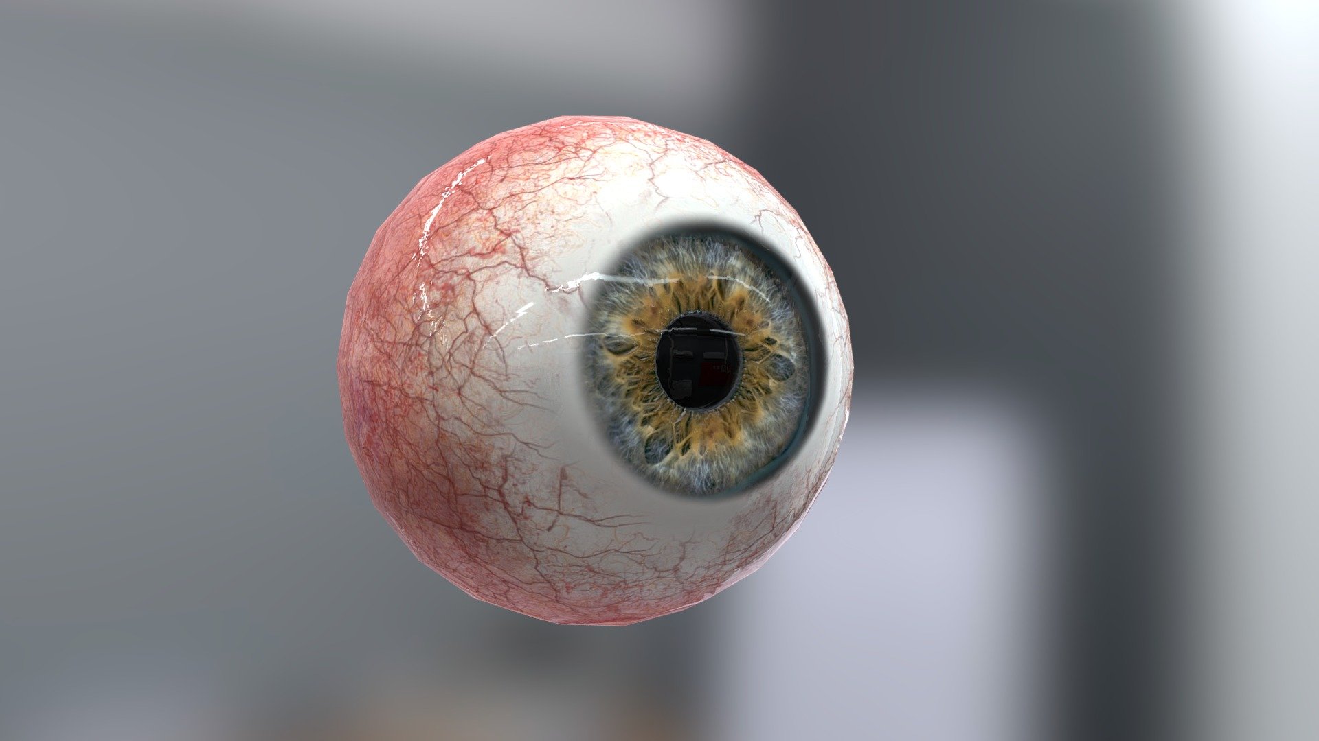 Eyeball - 3D model by Amaa It Solutions Pvt Ltd (@amaa) [c1117e8 ...