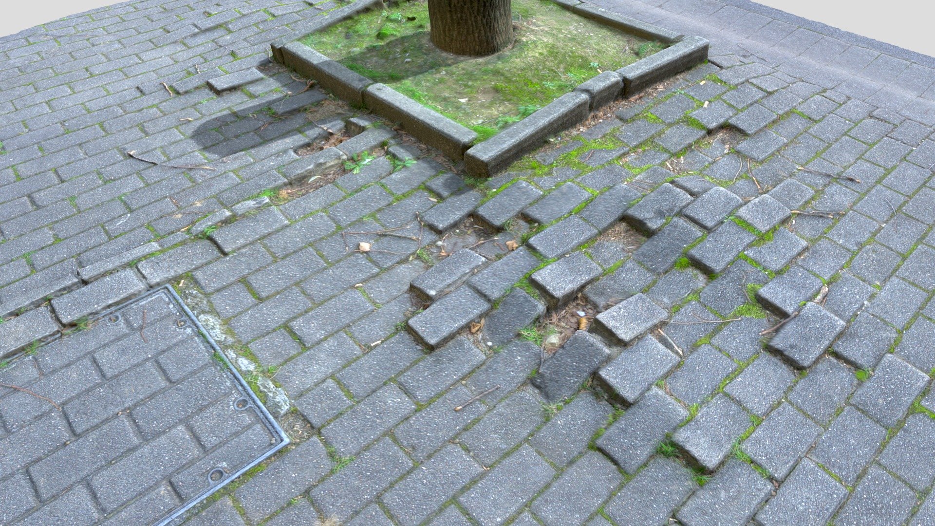 adoquines levantados alcorque - Download Free 3D model by yelizegi ...