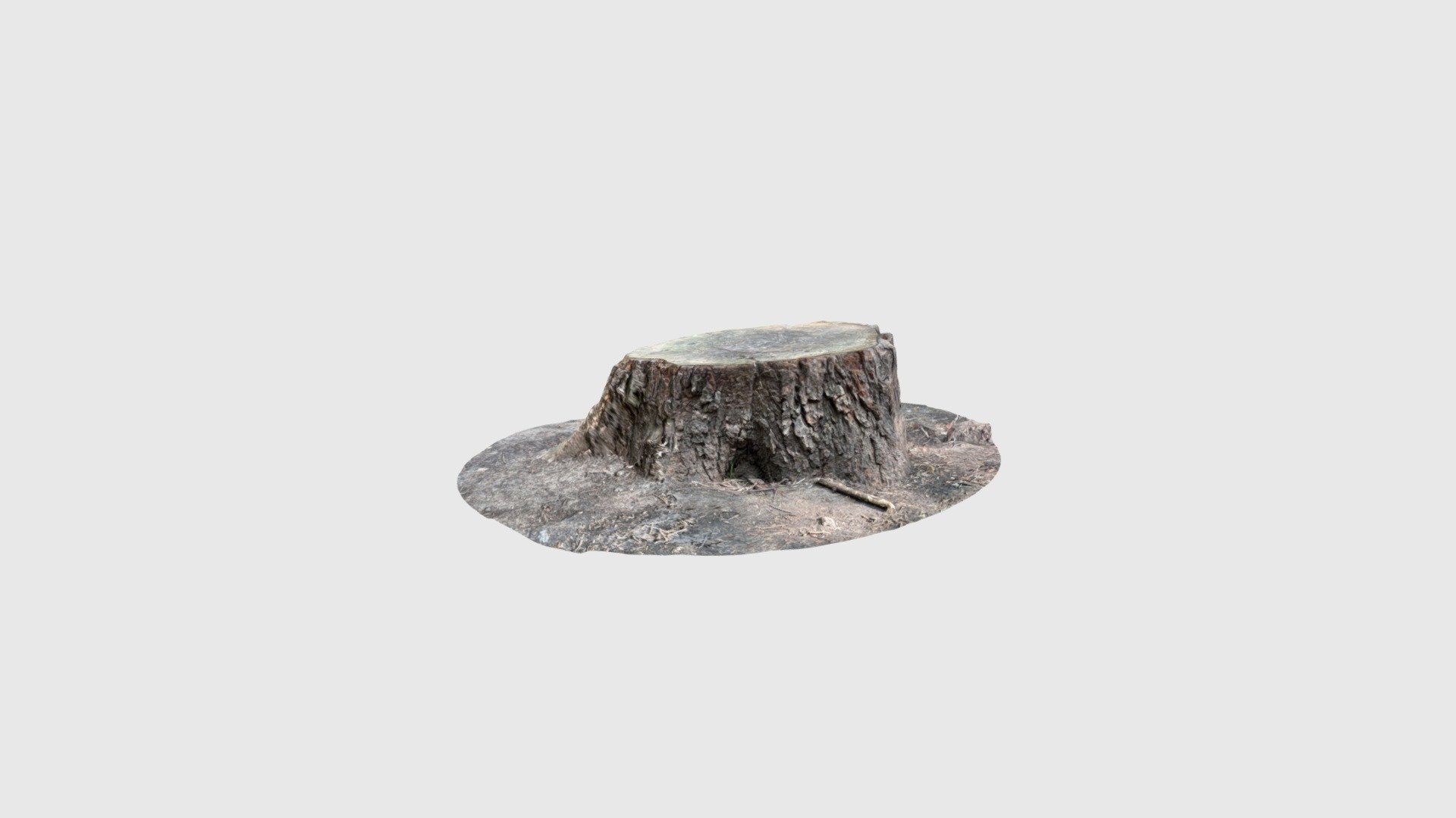 Stump - Download Free 3D model by bj (@bj0ke) [c11e98c] - Sketchfab