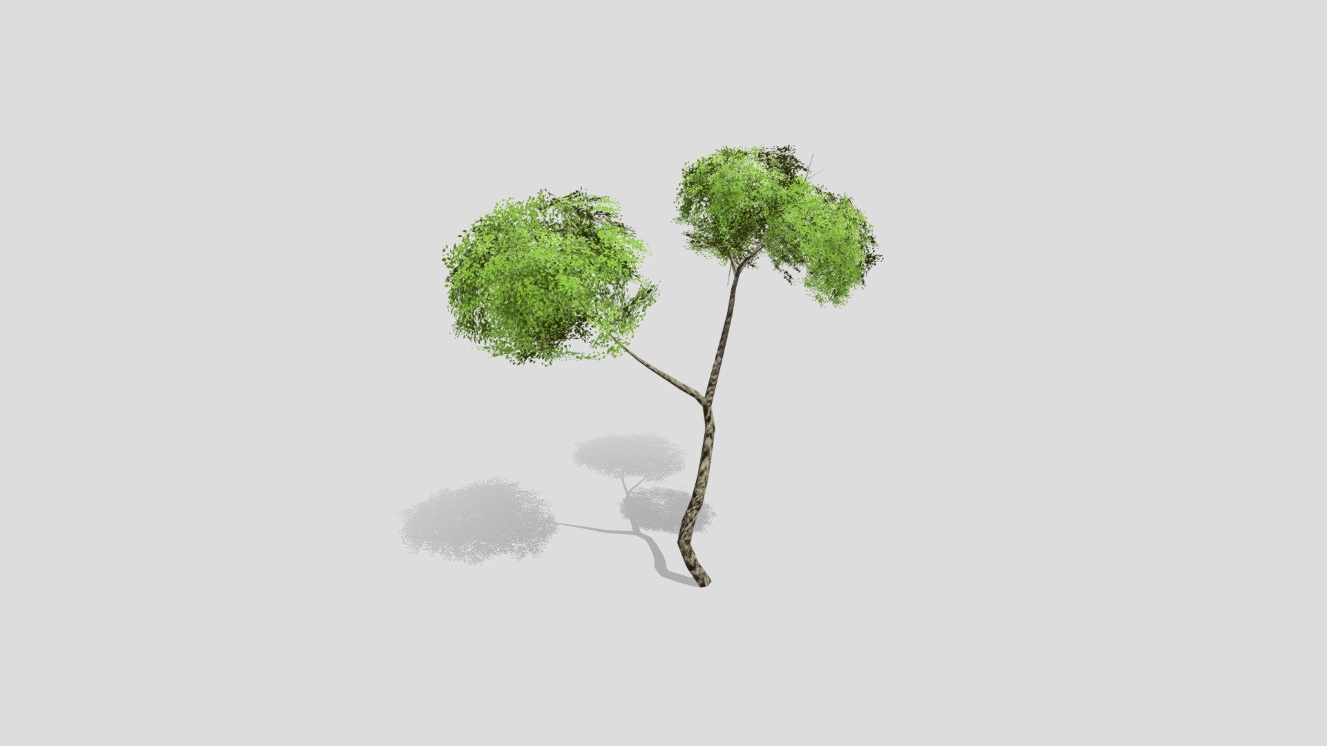 Small Tree - Download Free 3D model by Natural_Disbuster (@lemedesign ...
