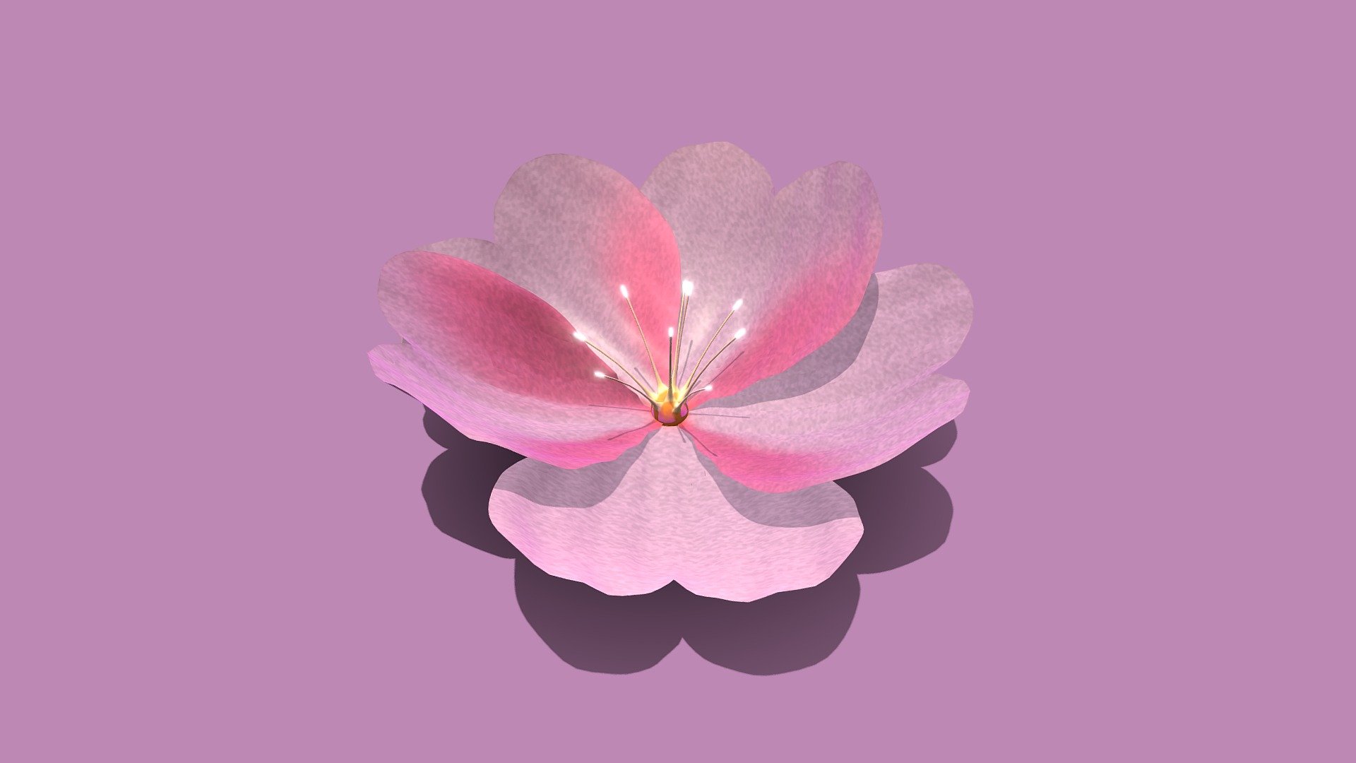 Cherry Blossom Sakura Flower - Buy Royalty Free 3D model by tamminen ...