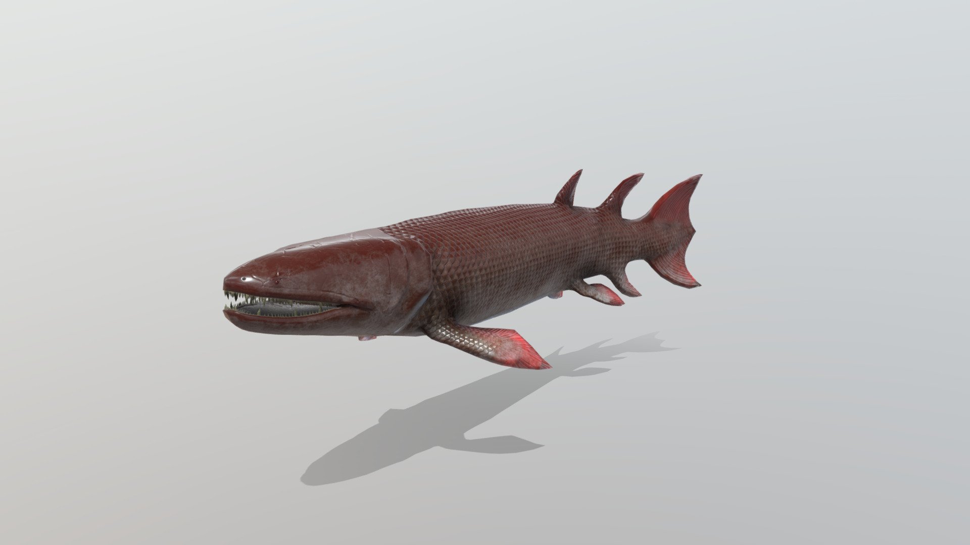 Eusthenopteron foordii - 3D model by Paleobiome [c125588] - Sketchfab