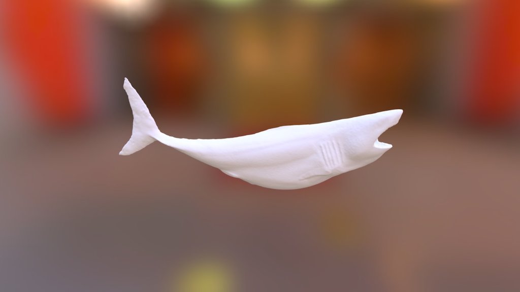 Half White Pointer - 3D model by mini-U [c12a310] - Sketchfab