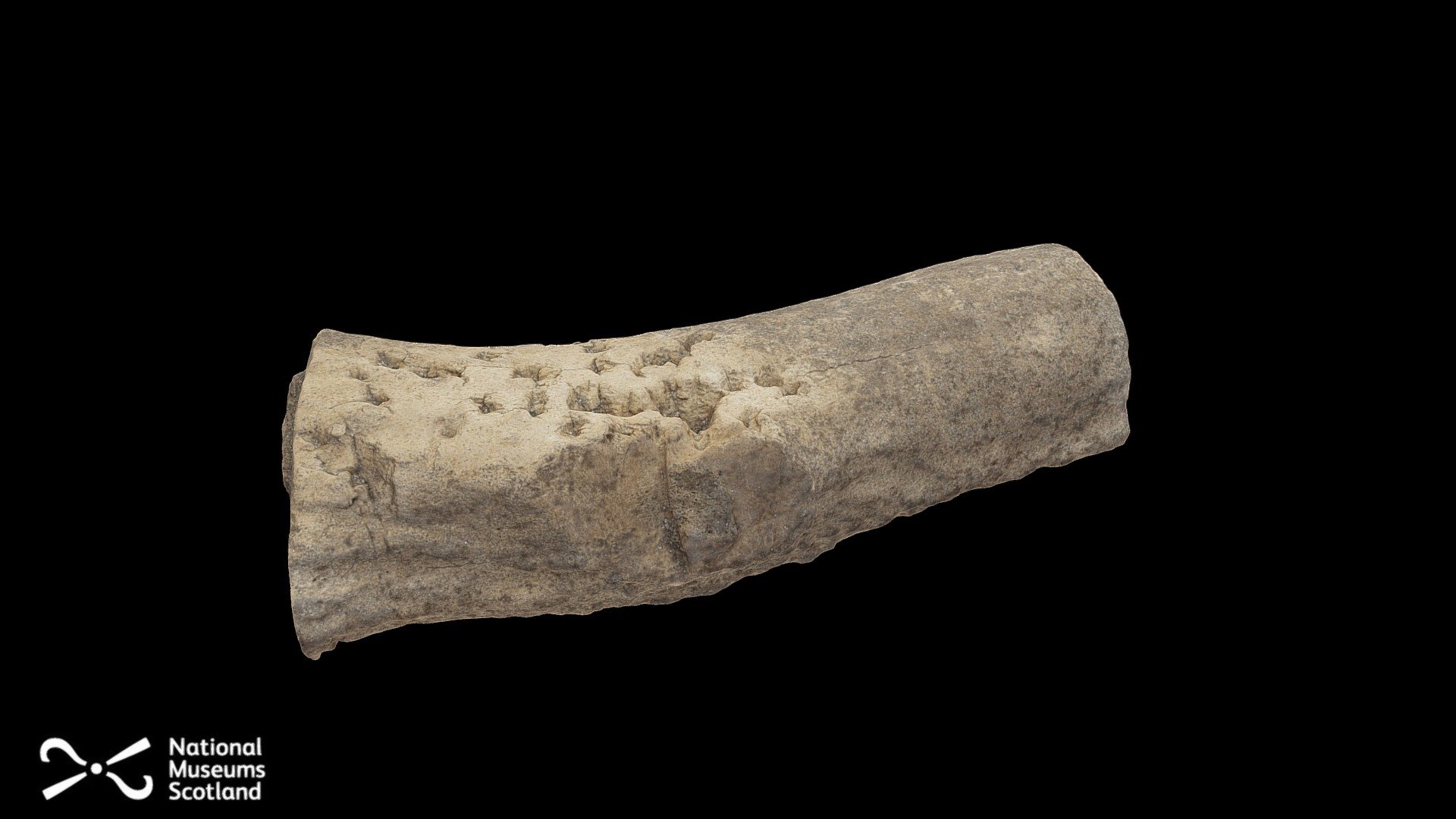 Antler Anvil, Cill Donnain, South Uist - 3D model by National Museums ...