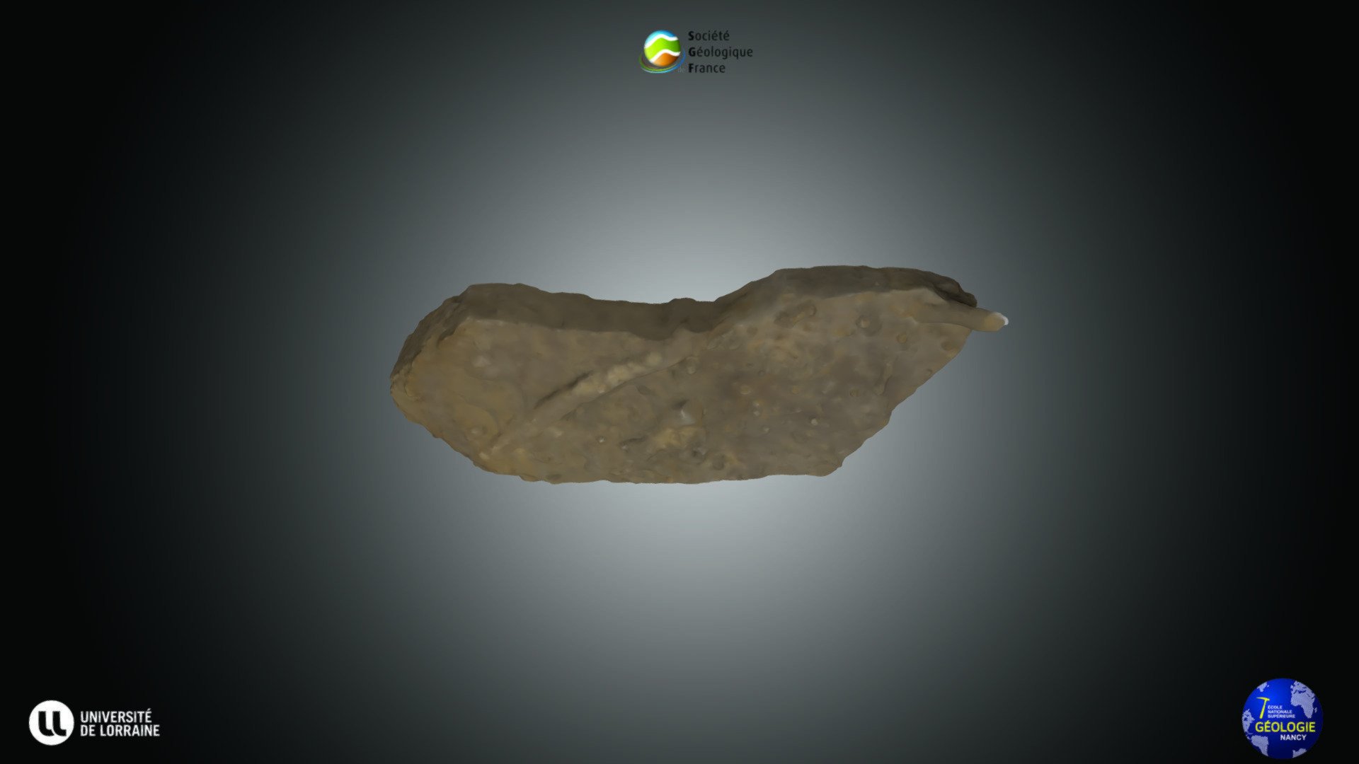 Roche - Grès bioturbé - Download Free 3D model by Société Géologique de France (@sgfrance ...