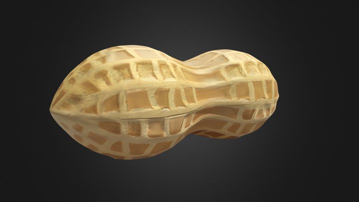 Peanut 3D models - Sketchfab