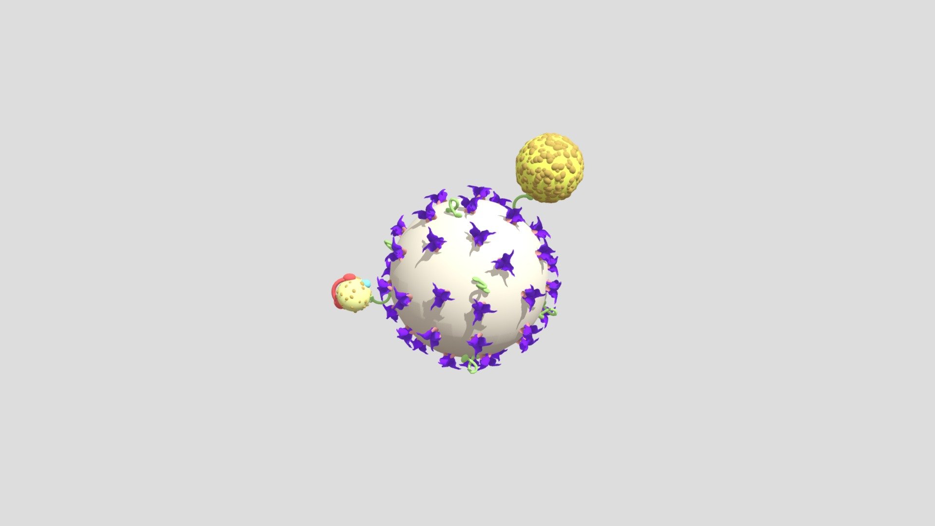 Hepatitis C Virus (two particle model) - Download Free 3D model by XR ...