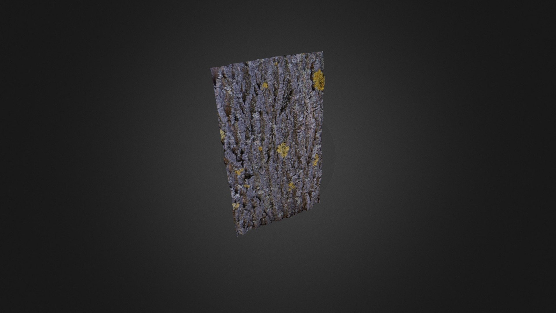3D tree bark Oak - 3D model by ChristopherGomez [c152766] - Sketchfab