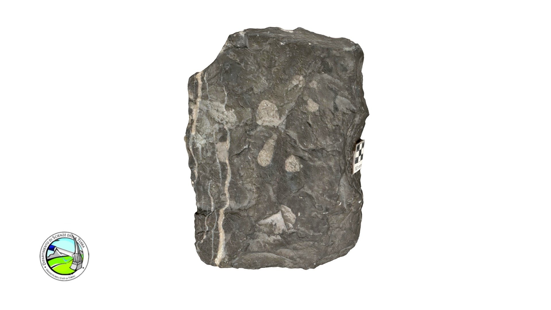 S20 - Wackestone di colore grigio scuro - Download Free 3D model by ...