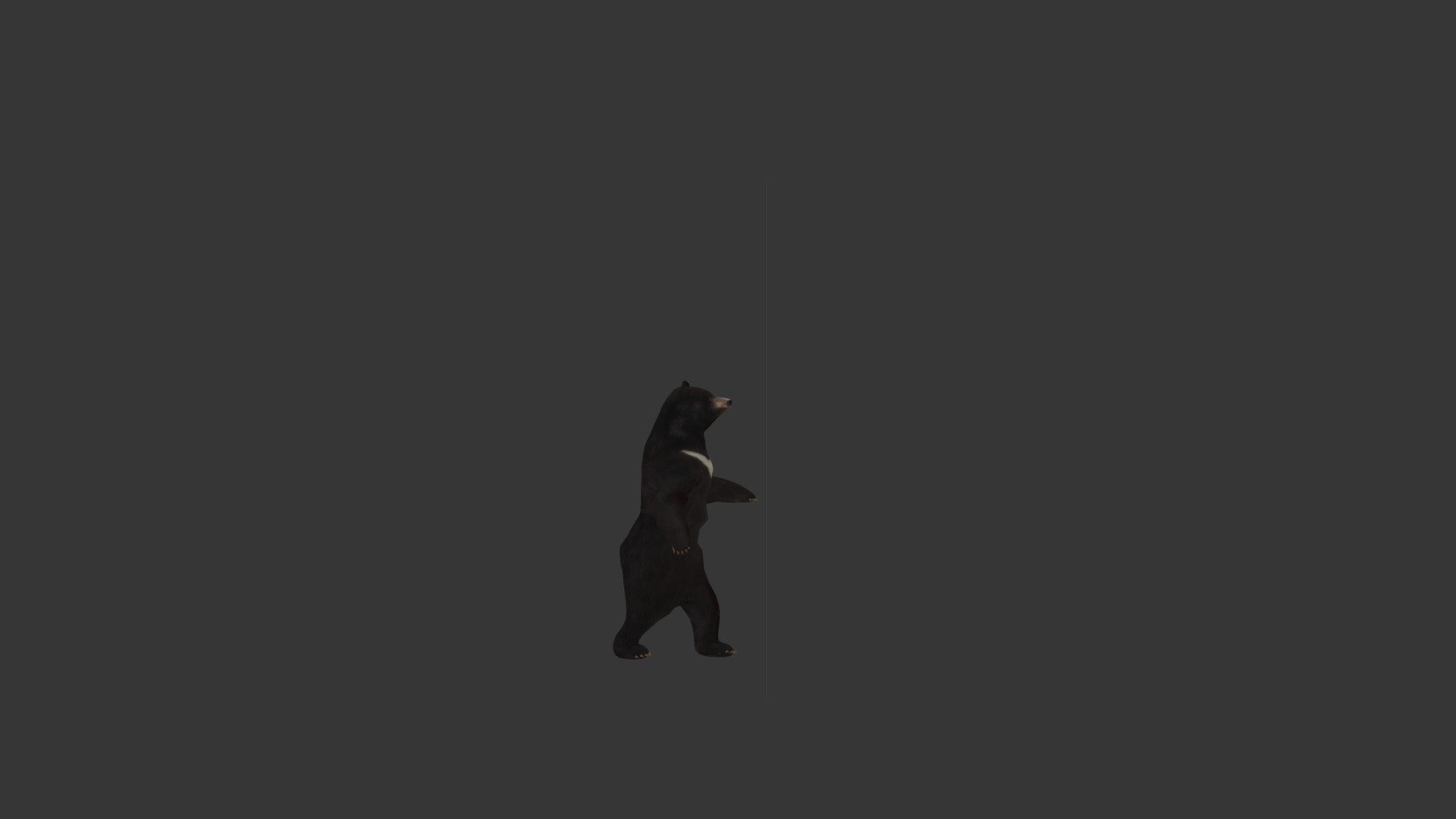 Bear_scratch - 3D model by yehyinghsuan [c15b4b8] - Sketchfab