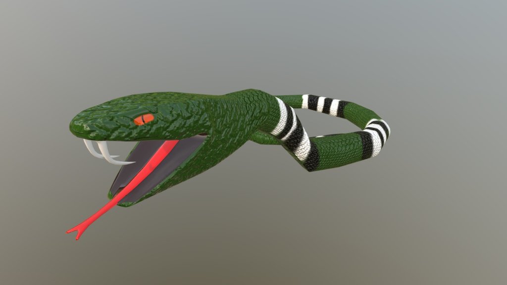 Snake - Download Free 3D model by PedroRB [c15ba94] - Sketchfab