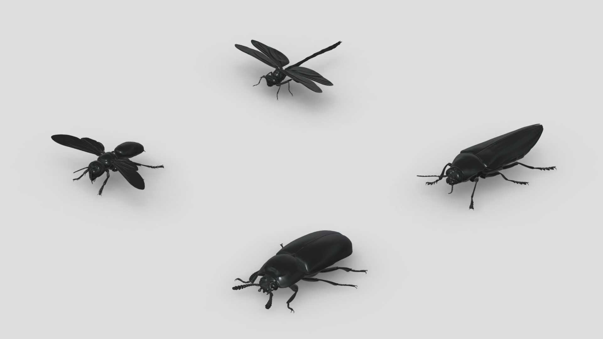 Insects&beetles-pack11 - 3D model by 1225659838@qq.com (@Novaky ...