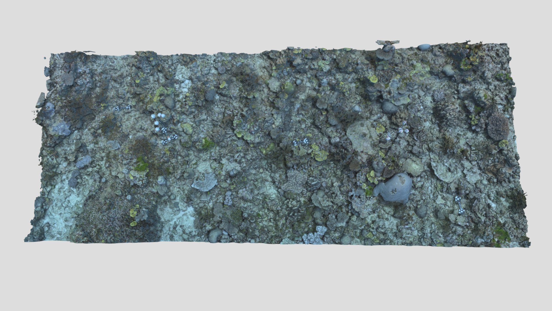 Heron_FR1S_P3_202105 - Download Free 3D model by EcoRRAP (@AIMSEcoRRAP ...