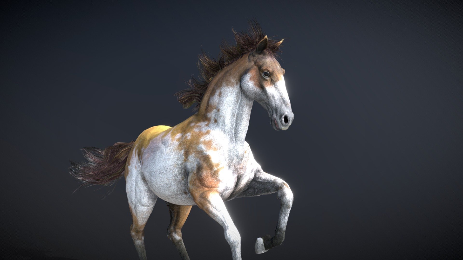Horse — Spanish Mustang ( Paint ) - 3D model by Nestaeric [c18e154 ...