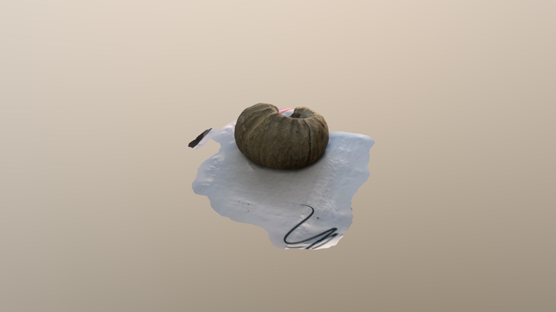 Amminoid - 3D model by plantscicomm [c191888] - Sketchfab