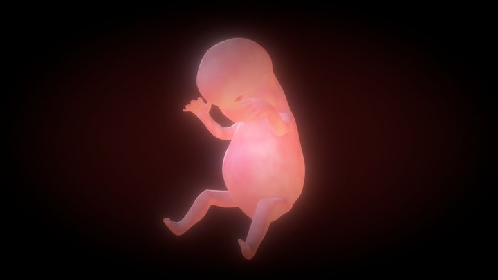 Pregnant 3D models - Sketchfab