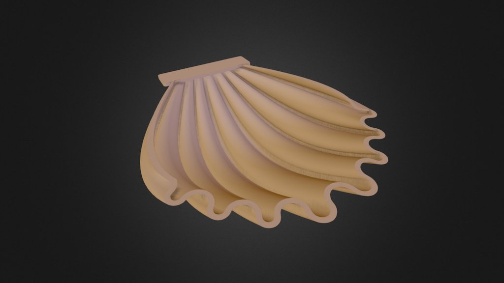 Scallop Beta2 - 3D model by kaaa [c194d36] - Sketchfab
