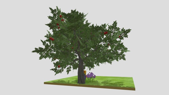 Pohon 3D models - Sketchfab