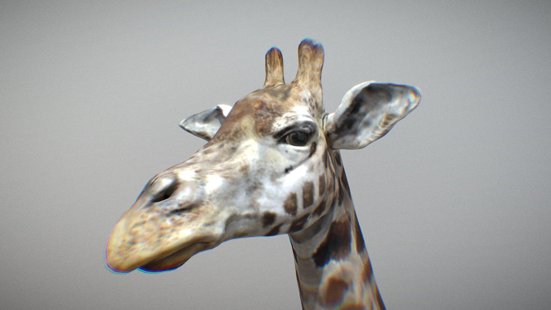 Giraffe - Buy Royalty Free 3D model by Tom Johnson (@Brigyon) [c19c8d5 ...
