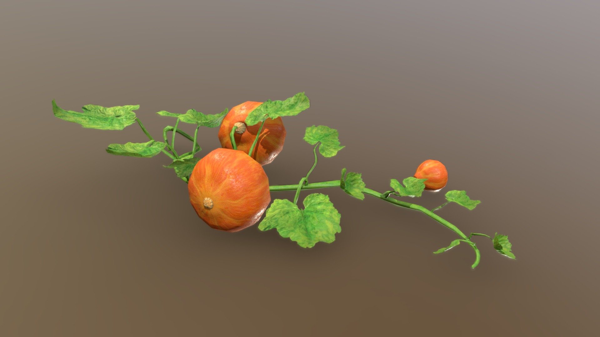 Onion Squash plant - 3D model by an Arzour (@an_arzour) [c19de64 ...