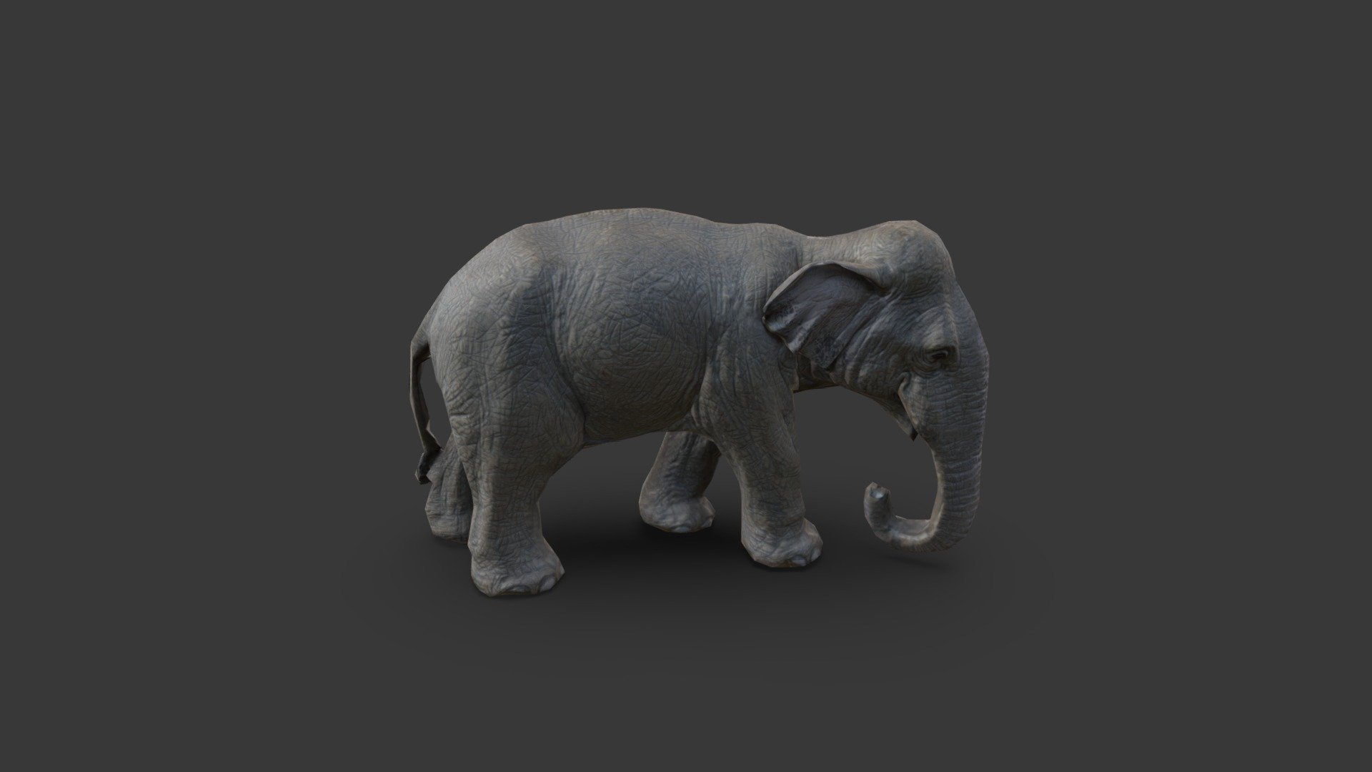 Elephant - Download Free 3D model by polybud [c1a3564] - Sketchfab