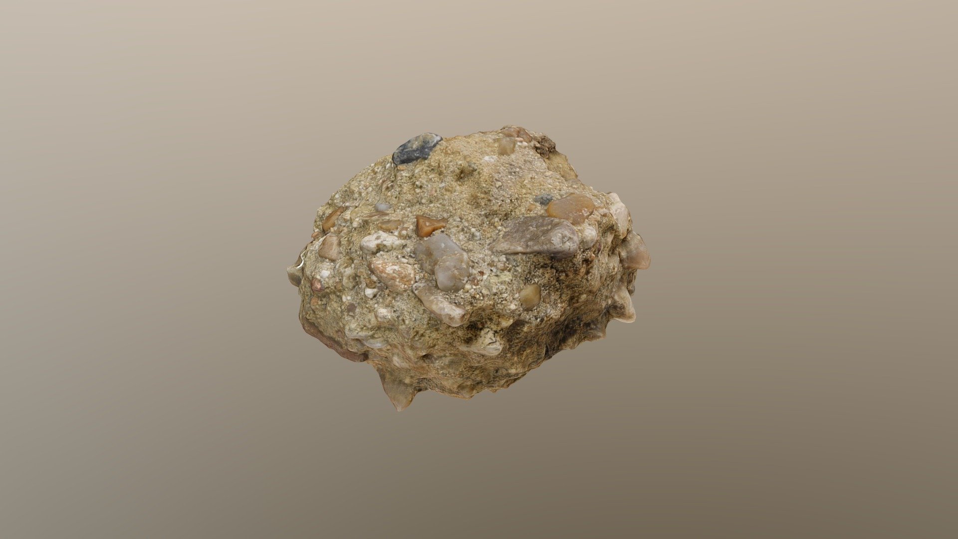 Conglomerado (Brecha) - 3D model by Laboratorio de Paleobiología ...