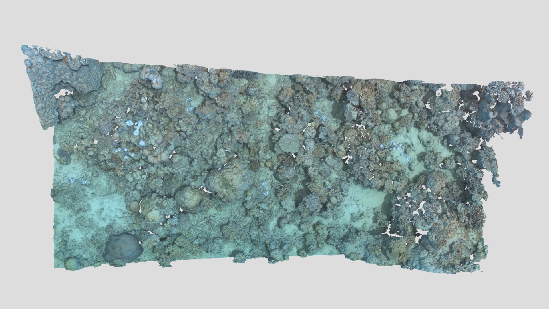 Masig_FR2S_P1_202104 - Download Free 3D model by EcoRRAP (@AIMSEcoRRAP) [c1a7428] - Sketchfab