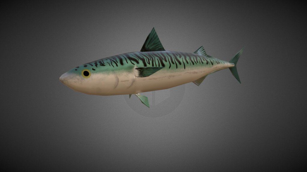 Fish - 3D model by Karen Koon (@RadiantTies) [c1a885d] - Sketchfab