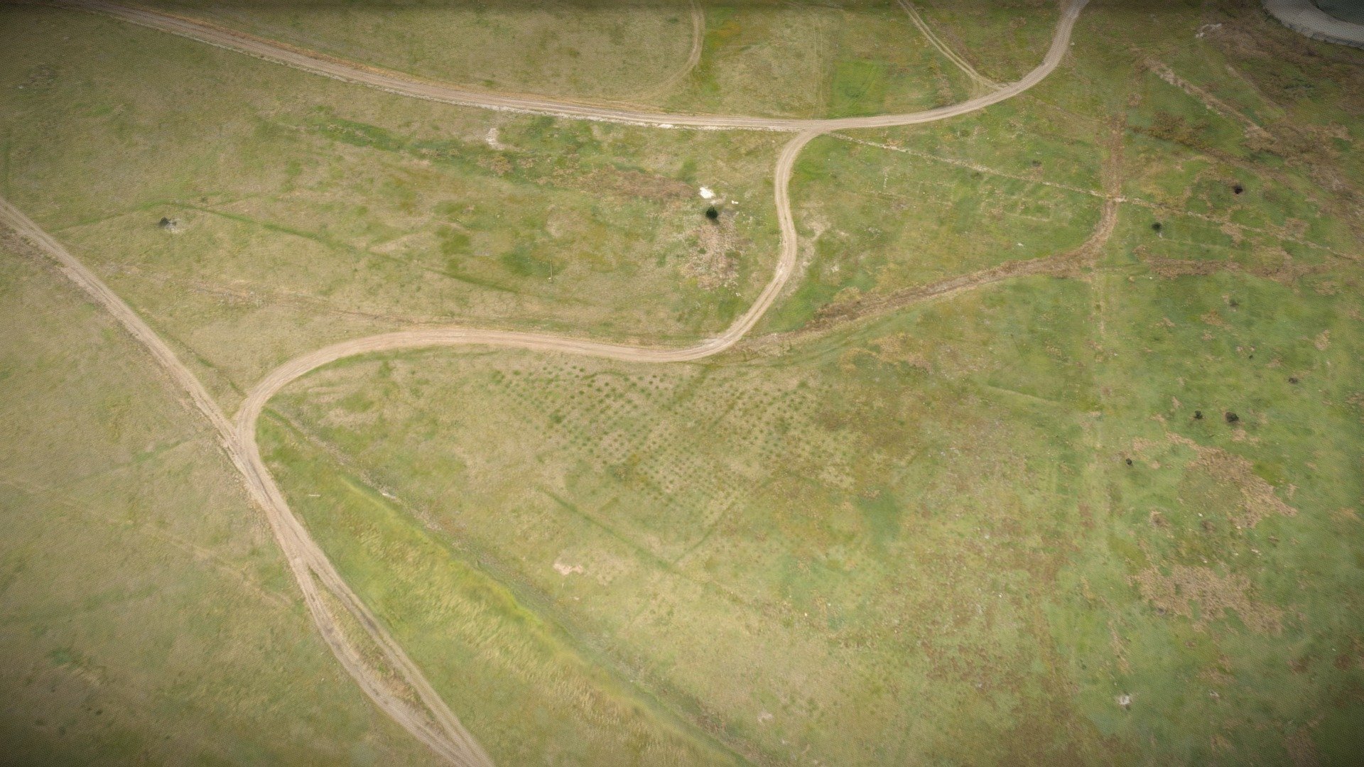 Late summer grassland and track - Download Free 3D model by Metazeon ...
