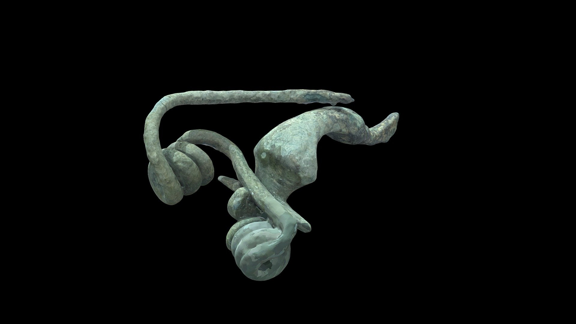 Roman Fibulae - 3D model by Luka Škerjanec (@lukasker) [c1aced5 ...