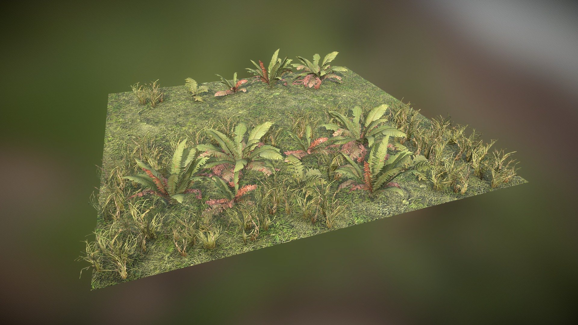 Fern And Grass Pack (Optimized) - Buy Royalty Free 3D model by Yurii ...