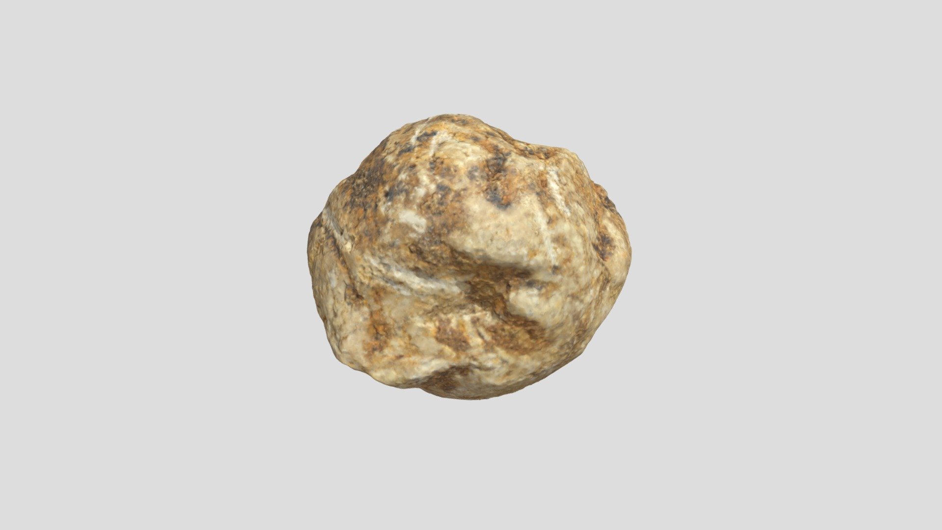 Coprolite - 3D model by francesca.borchi [c1b7adb] - Sketchfab