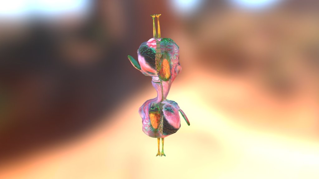Upside Down Birdo - Download Free 3D model by daxnorman [c1c0b86 ...