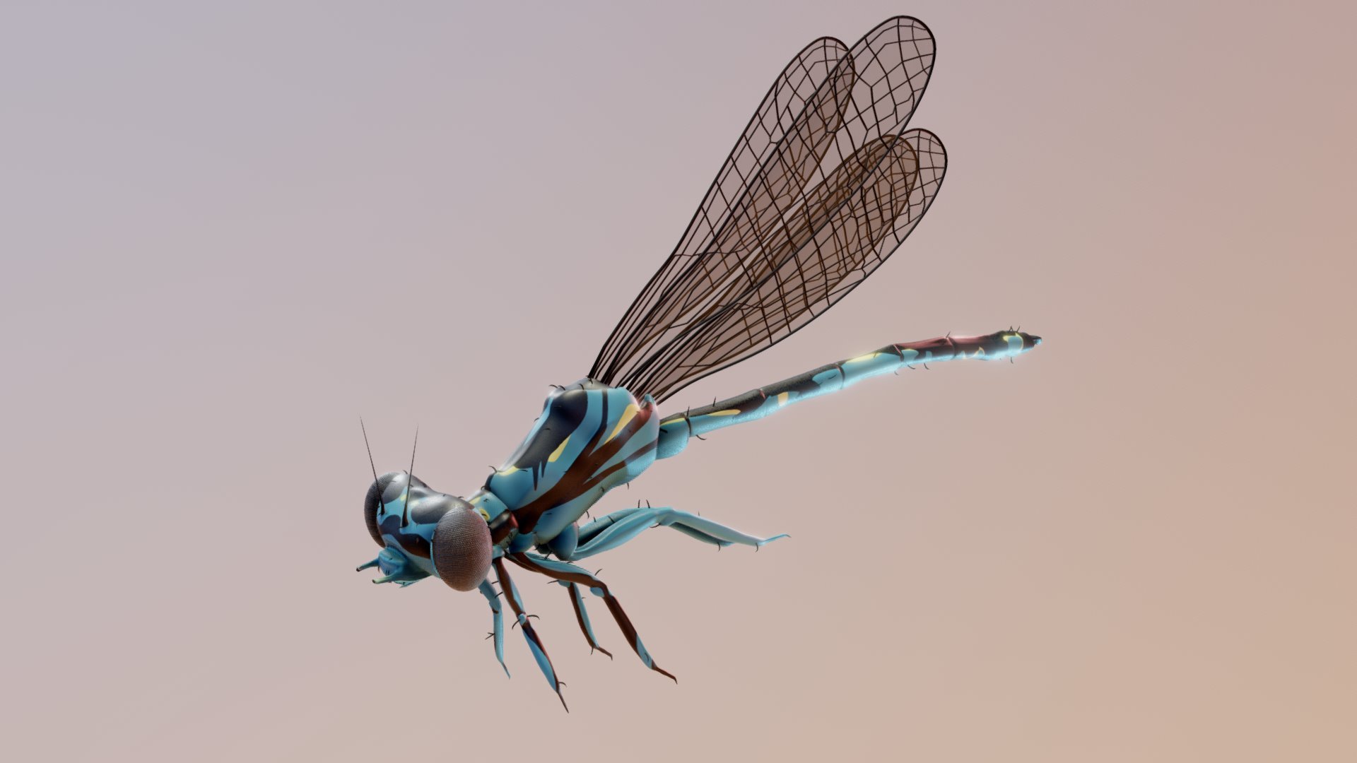 DragonFly - 3D model by AntonioSoto [c1c1e19] - Sketchfab