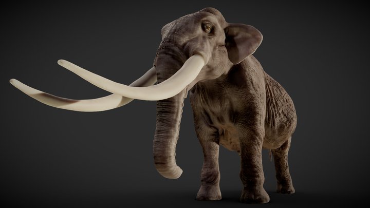 Mastodont 3D models - Sketchfab