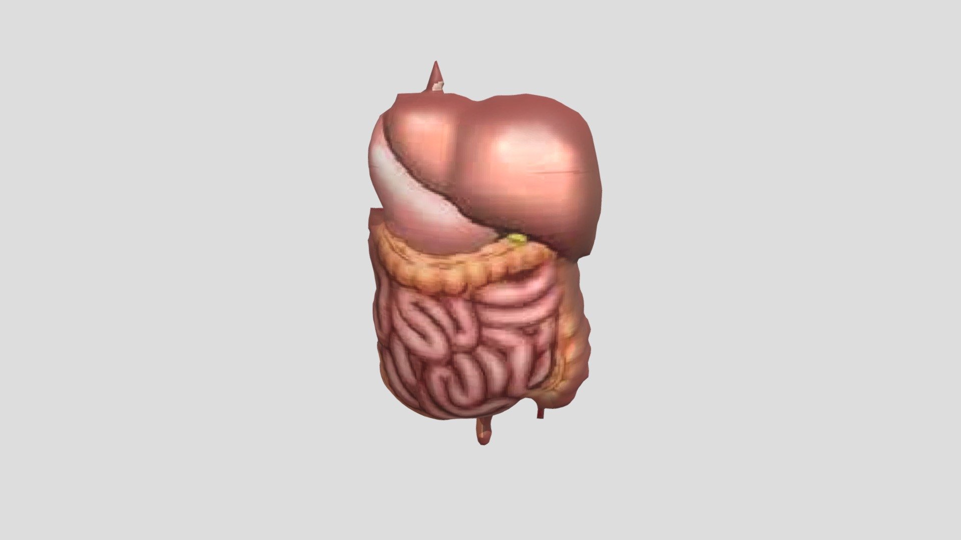 Latihan 2 Organ - 3D model by ezzaaviyani [c1d3391] - Sketchfab